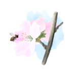 Turrones Picó – El Turrón Artesano de Jijona de Siempre